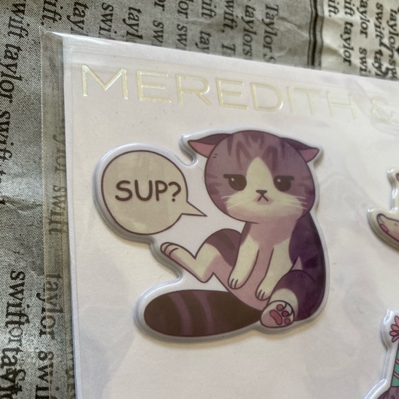 Taylor Swift | Accessories | Taylor Swift Meredith And Olivia Stickers ...